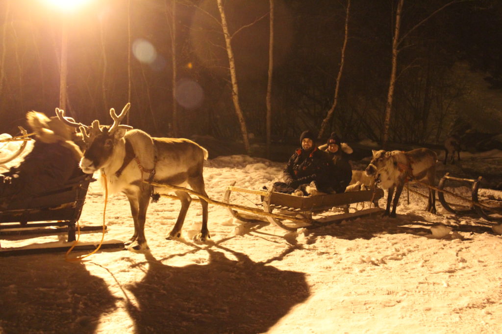 Reindeer sledding & Sami experience in Alta, Norway