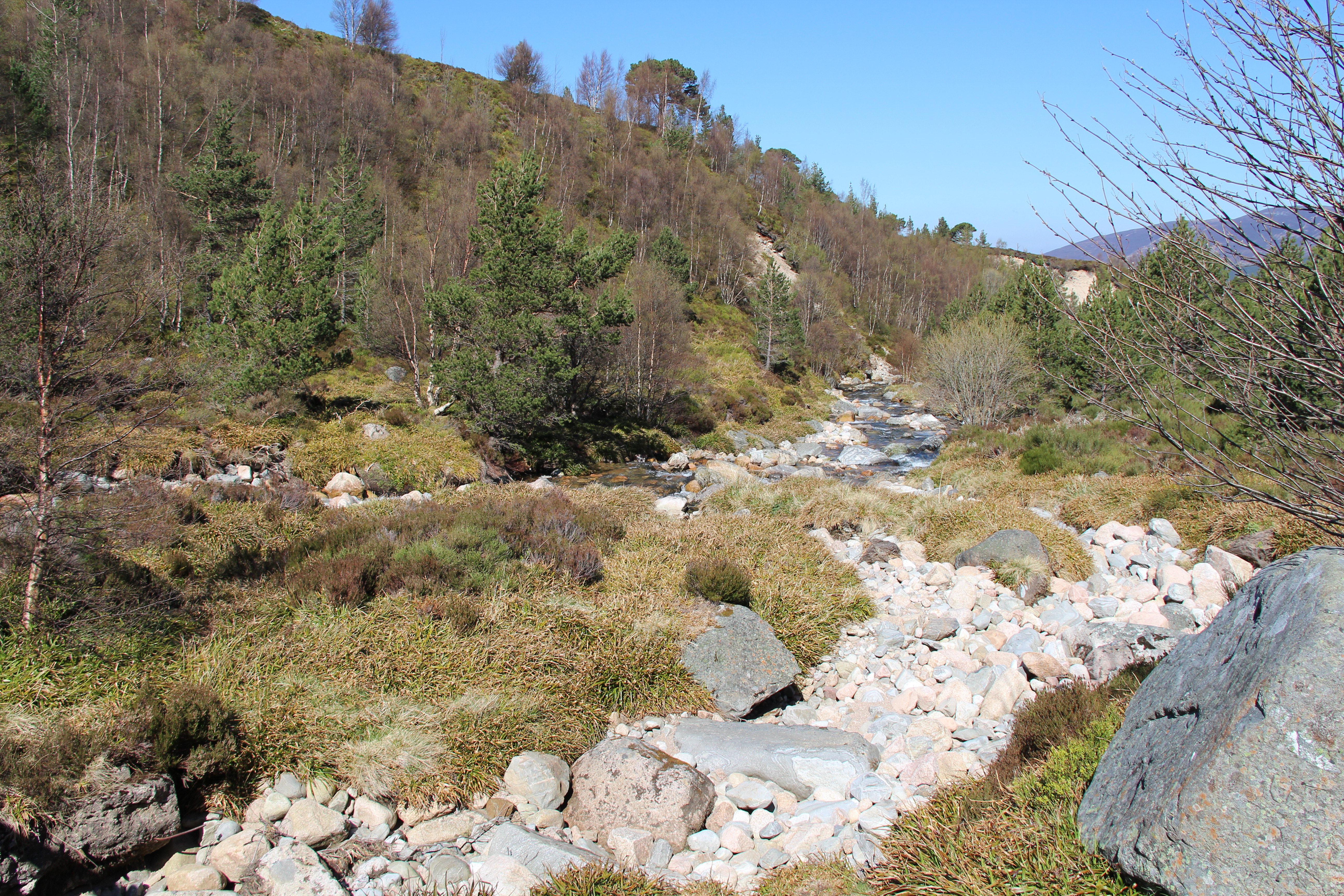 Everything you need to know for your road trip through Scotland